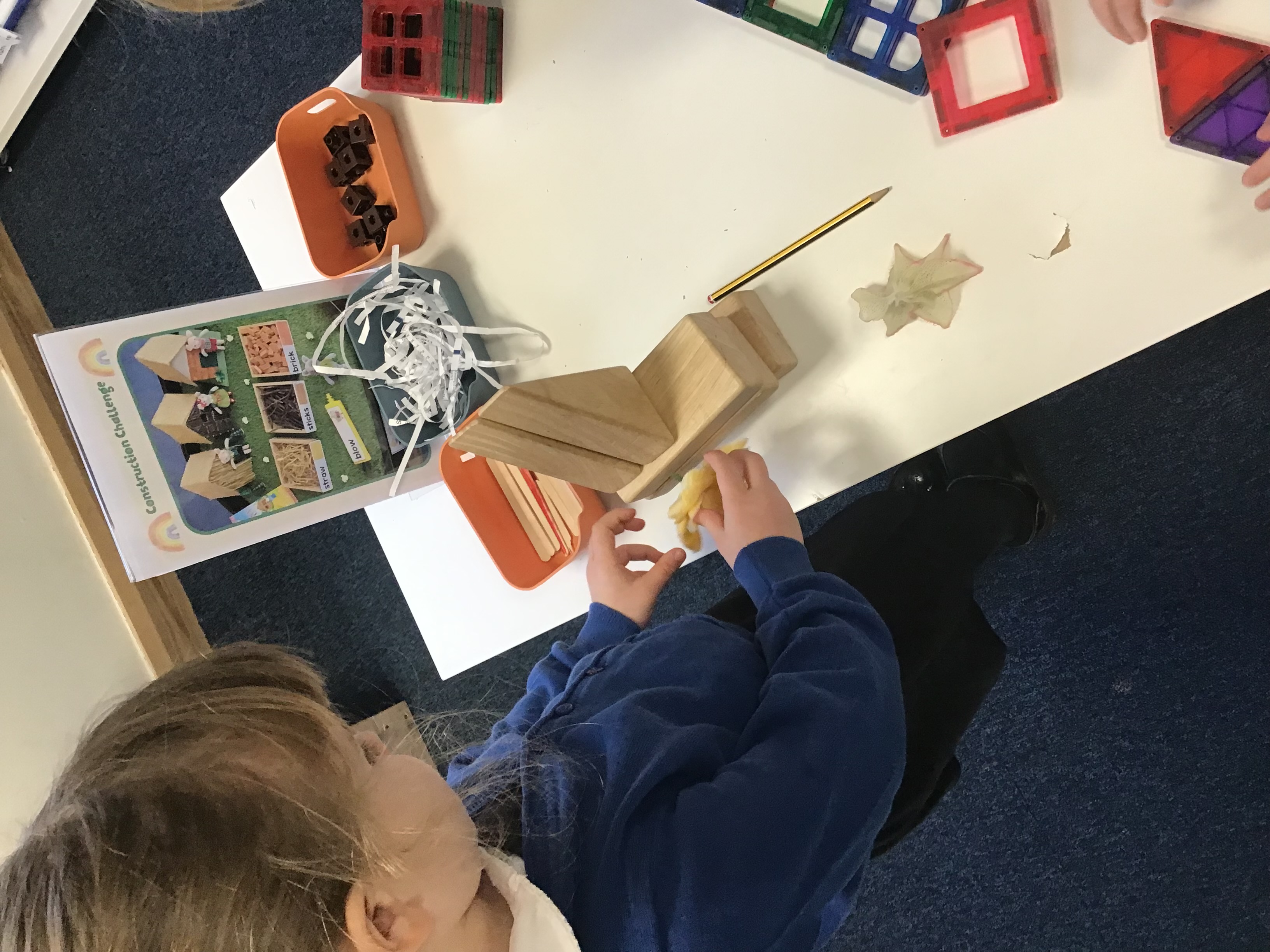 The Three Little Pigs